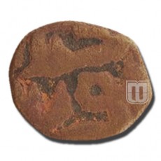 Coins of Sikandar Shah Lodi | Mintage World